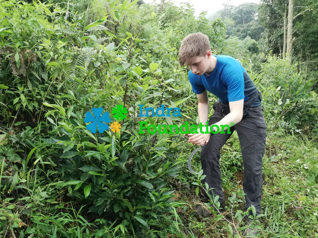Environmental Internships Abroad | Sustainability Projects
